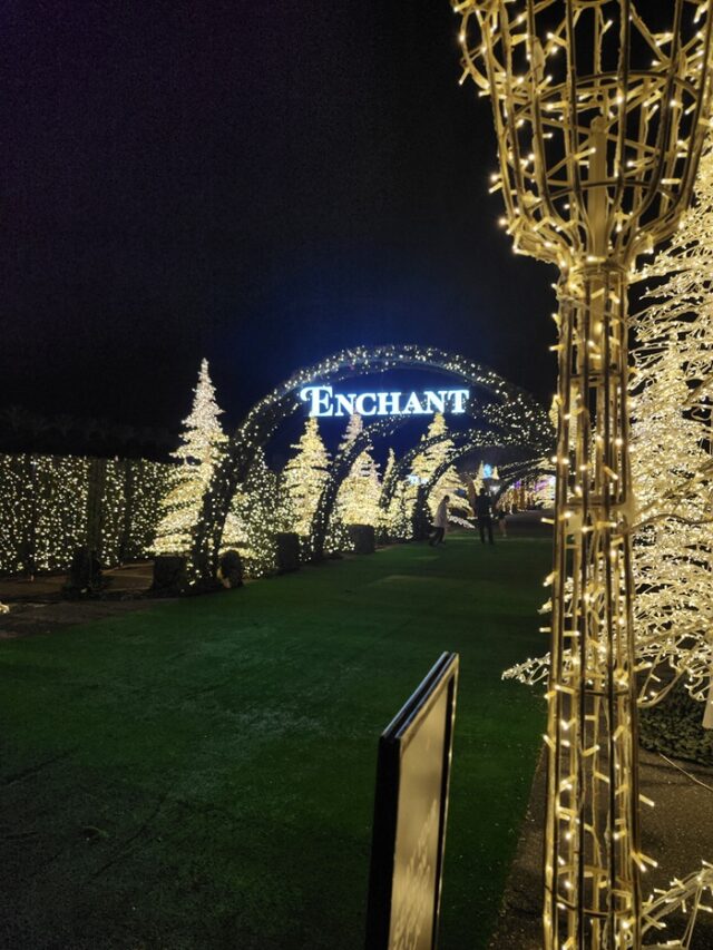 Enchant – The World’s Largest Christmas Light Maze makes its way into ...